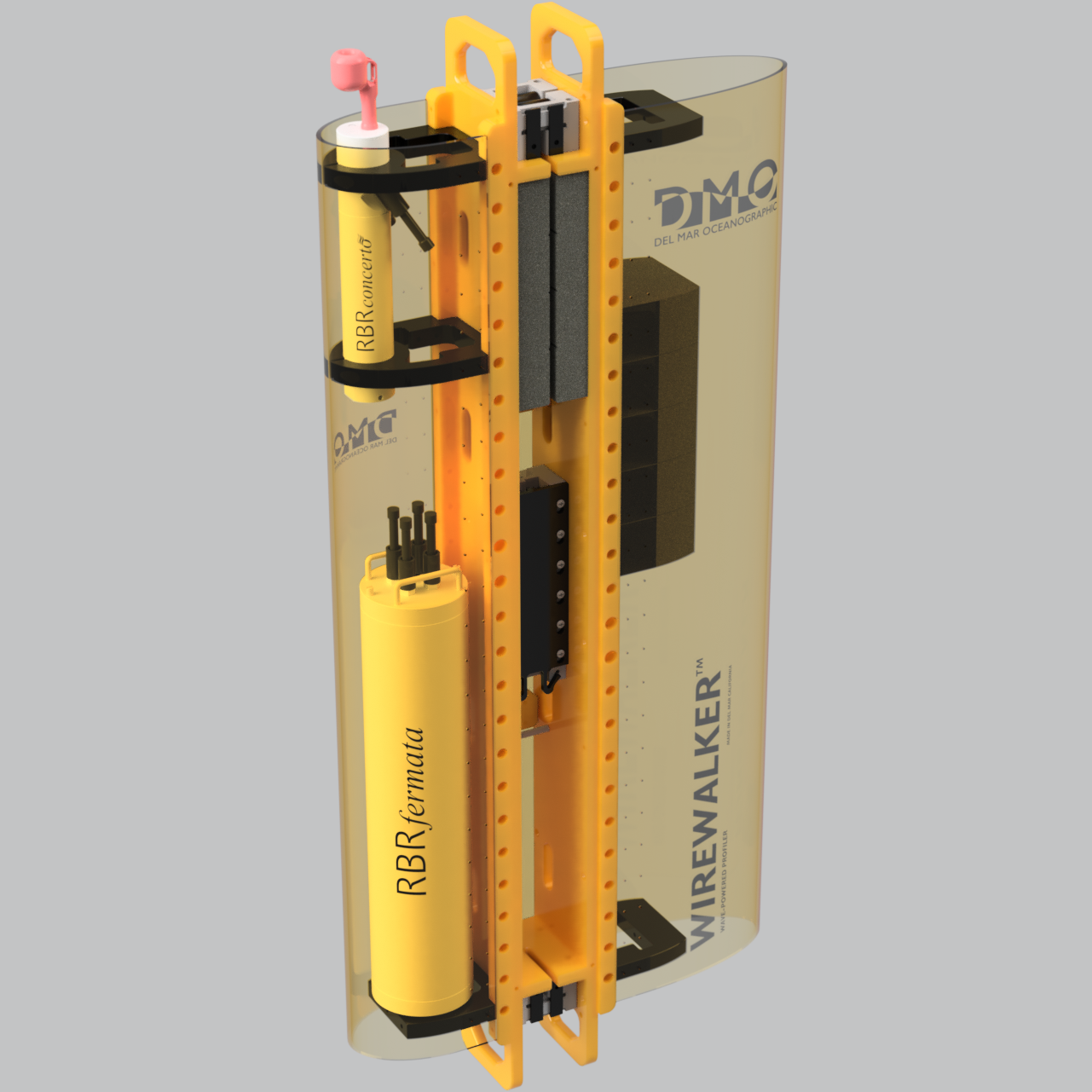 RBR Systems - Wirewalker, RBRcervello, RBRfermata